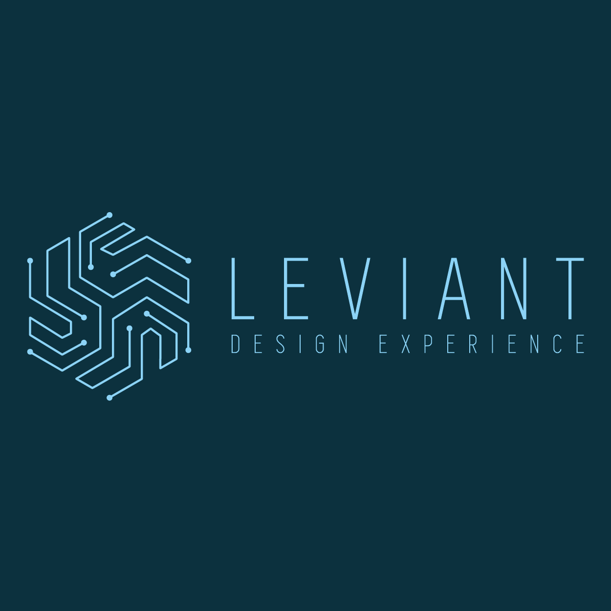 Leviant - design experience - DigithON 2025